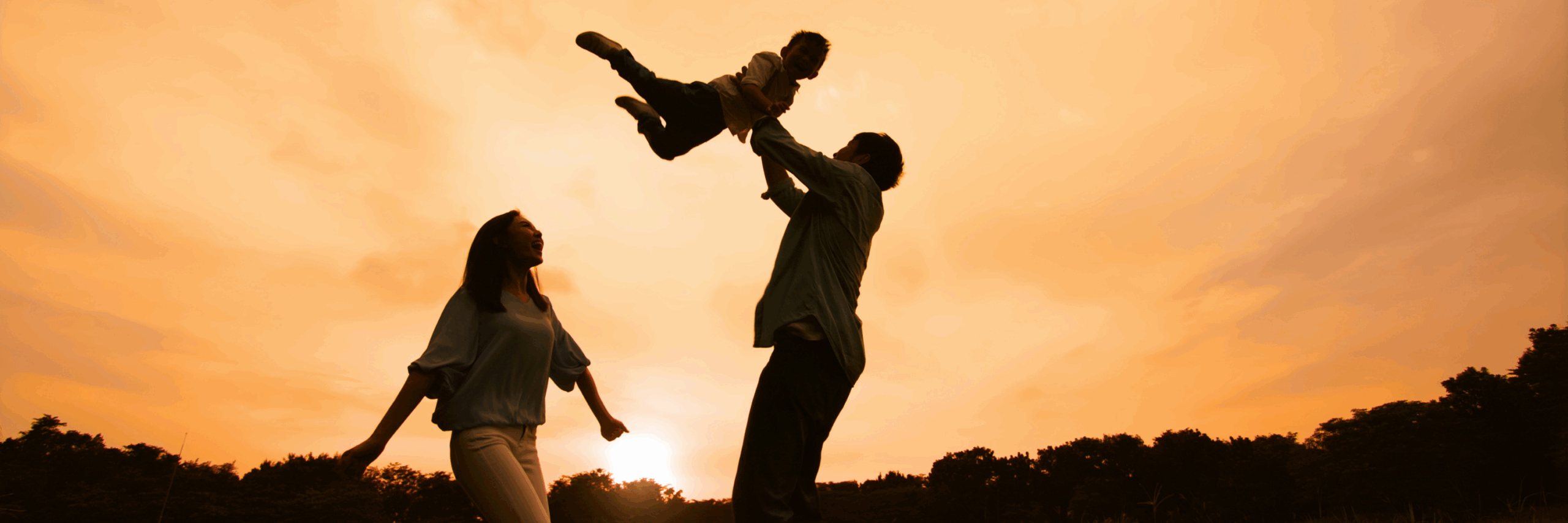 Raising Highly Capable Kids Program